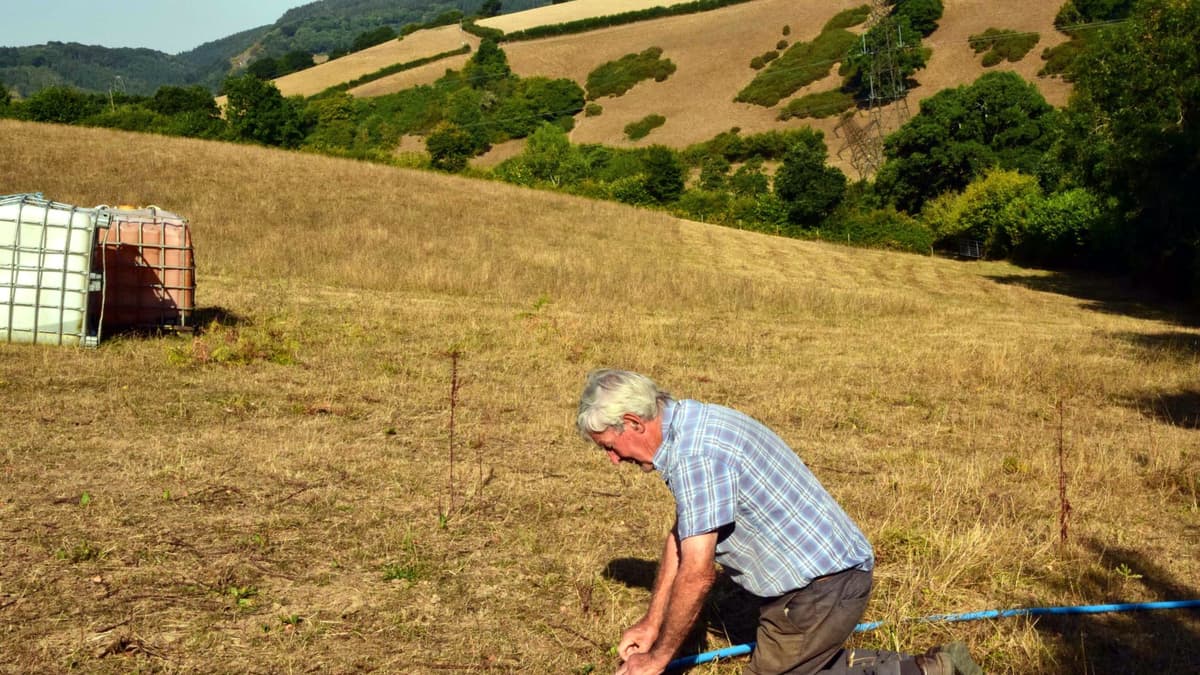 The day the well ran dry | middevonadvertiser.co.uk